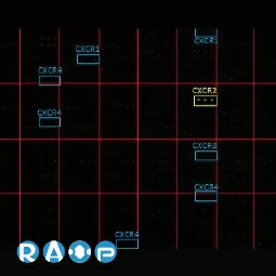 G蛋白偶联受体 (GPCRs) | GeneTex中文官方网站