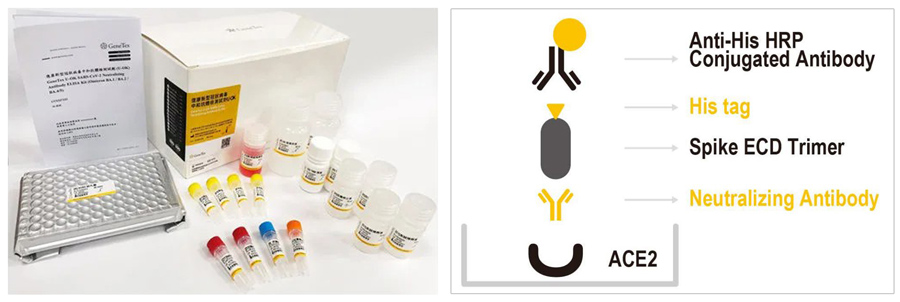 抗体辨认SPIKE、免疫吸附ELISA | GeneTex中文官方网站
