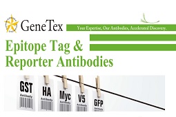 一抗 | GeneTex中文官方网站