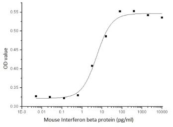Mouse Interferon beta 蛋白, human IgG1 Fc tag (active) (GTX01301-pro ...