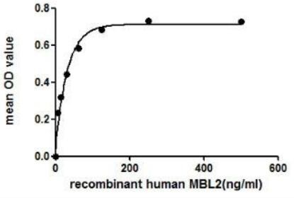 Human MBL2 蛋白, His and GST tag (GTX00127-pro) | GeneTex中国官方网站