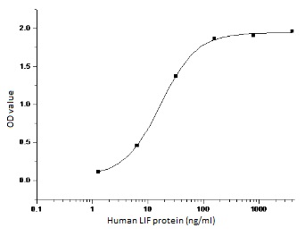 Human LIF 蛋白, human IgG1 Fc tag (active) (GTX01275-pro) | GeneTex中国官方网站