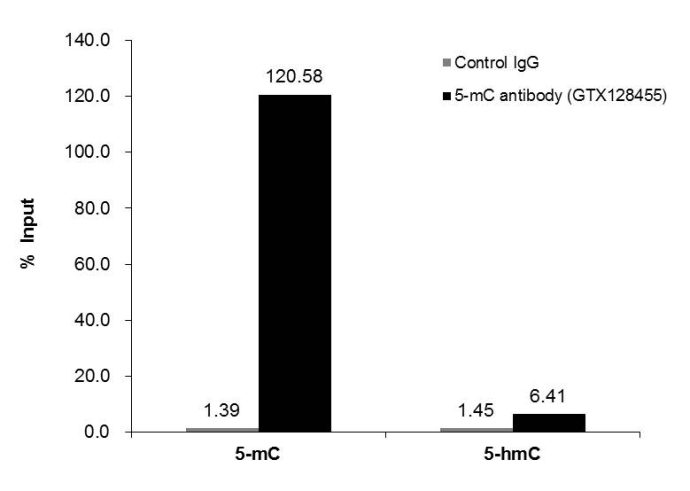 5-Methylcytosine / 5-mC抗体 (GTX128455) | GeneTex中国官方网站 5-Methylcytosine / 5-mC抗体 (GTX128455) | GeneTex中国官方网站