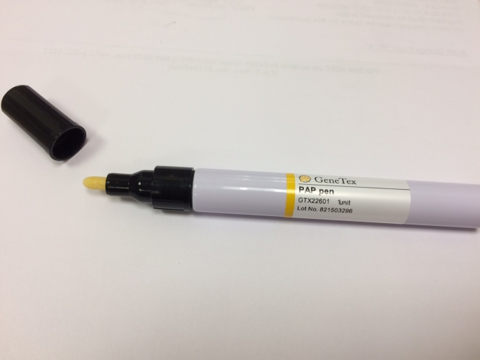 PAP pen (GTX22601) | GeneTex中国官方网站