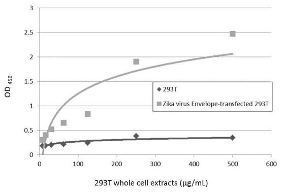 Zika virus Envelope protein抗体 [GT363] (GTX634155) | GeneTex中国官方网站