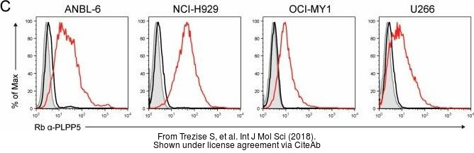 Rabbit IgG 同型对照 (GTX35035) | GeneTex中国官方网站