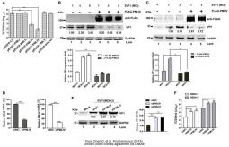 Enterovirus 71 VP1抗体 (GTX132338) | GeneTex中国官方网站